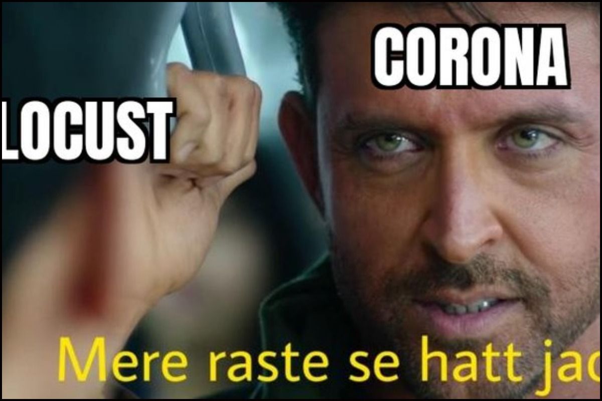 ‘Are Locust Tasty When Cooked? Asking For Friends in Gurgaon’: Twitter ...