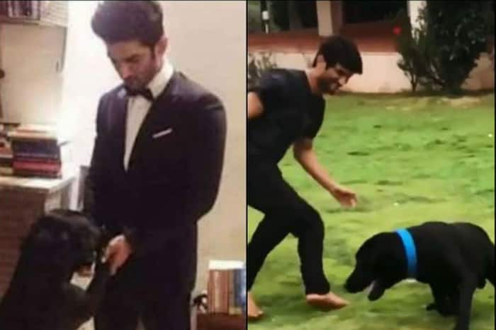 Fact Check: Sushant Singh Rajput’s Dog Fudge is Alive, News of His ...