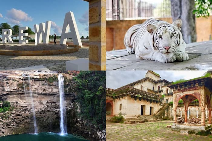 Along With White Tigers, Rewa is Now Home to Largest Solar Power Plant ...