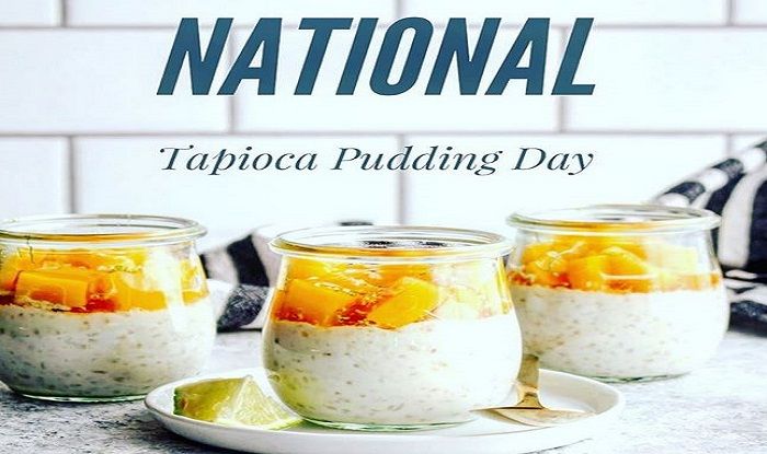 National Tapioca Pudding Day 2020: What This Day is All About And How ...