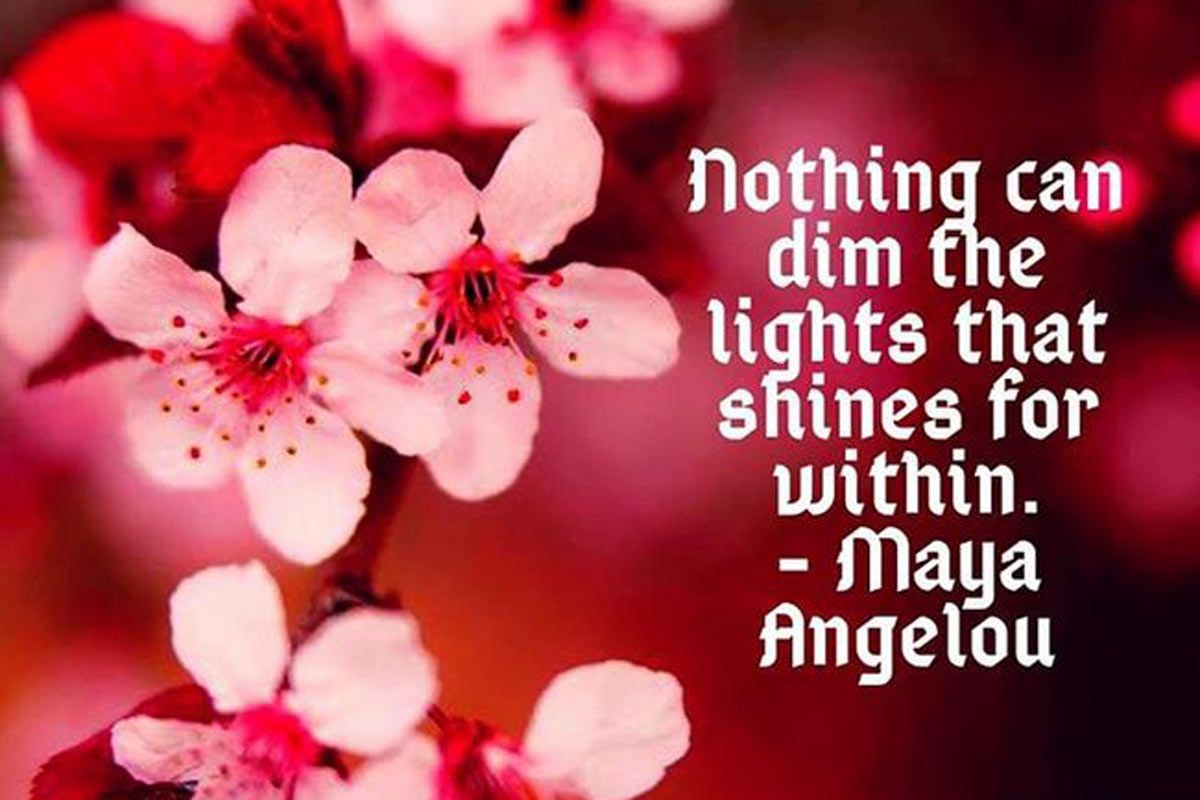 Thursday Motivation: Here Are Some Quotes That Are Dedicated to The ...