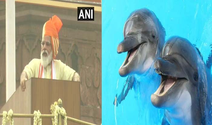Project Dolphin: डॉल्फिन प्रोजेक्ट से भारत को मिलेंगे ये लाभ, पीएम मोदी ...