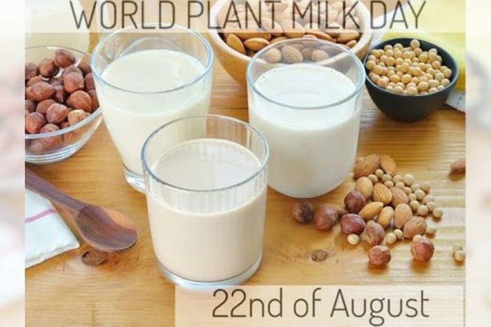 World Plant Milk Day 2020: History, Significance of The Day And How it ...