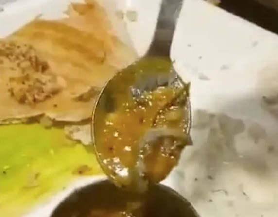 Yuck! Man Finds Dead Lizard in His Sambar at Delhi’s Saravana Bhavan ...
