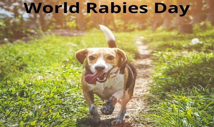 World Rabies Day 2020: Did You Know Rabies Caused More Death in India ...