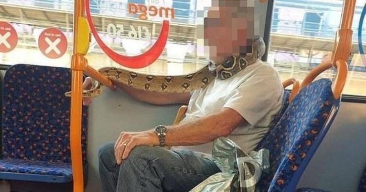 WHAT? Bus Passenger Uses Pet Python as ‘Face Mask’, Wraps It Around His ...