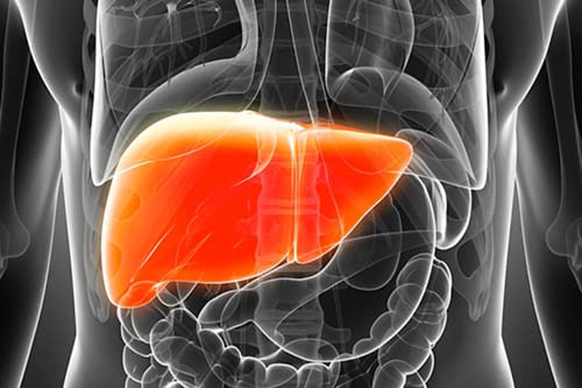 How to Prevent Liver Damage: What to Include in Diet And What not