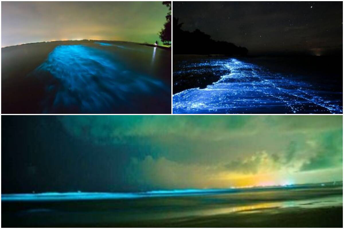 Why is Mumbai's Juhu Beach Glowing Blue at Night? People Are Amazed to ...