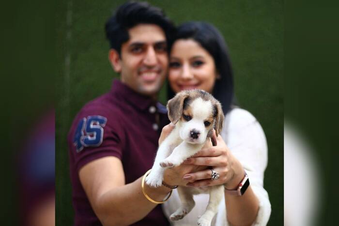Rohit Chadda And Wife Aashna Babbar's Love Story With This Dog Will ...