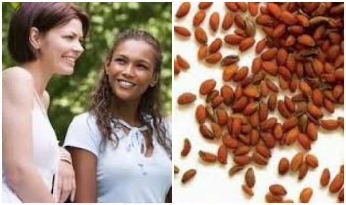 Benefits Of Halim Seeds: महिलाओं की इन सभी समस्याओं के लिए फायदेमंद ...