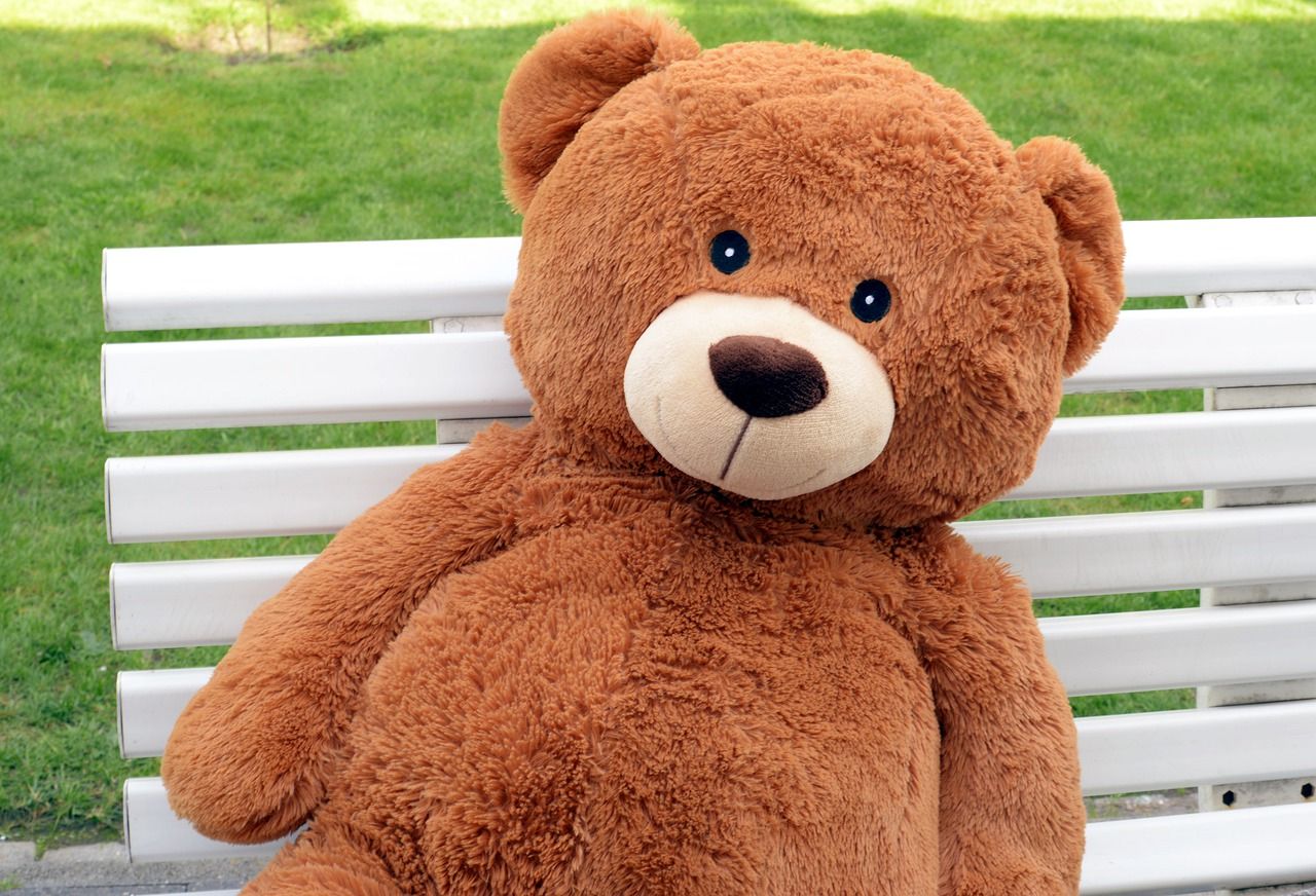 Drug Bust: Bengaluru Cab Driver Caught Hiding Heroin & MDMA in Teddy ...