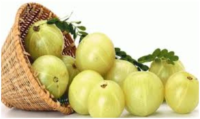 Amla Chai For Weight Loss: सर्दियों में बढ़ते वजन पर पाना चाहते हैं ...