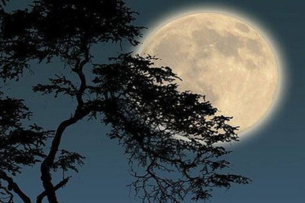 Snow Moon Wallpaper See Stunning Captures Of February Full Snow Moon!