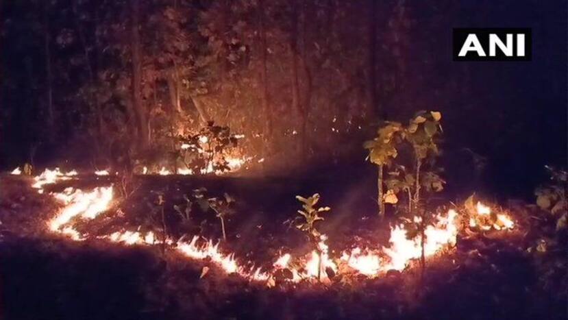 Odisha Forest Fire Rages On After a Week, One-Third Of Similipal ...