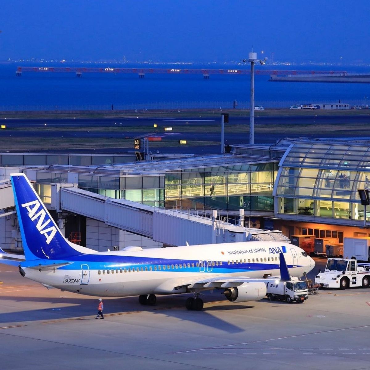 In a first, Japan Largest Airline ANA Tries Digital Health Passports To ...