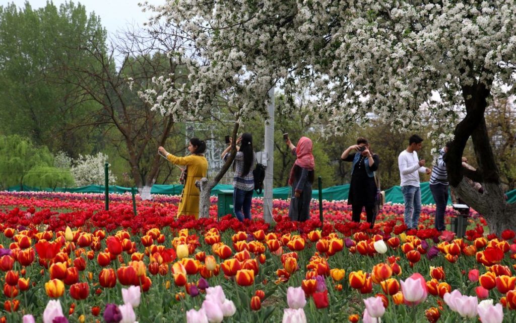 Zabarwan Range: Postcards From Asia