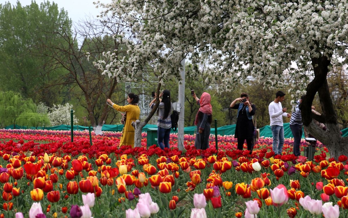 Zabarwan Range: Postcards From Asia