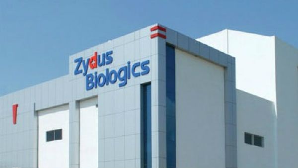 How is Zydus Cadila's ZyCoV-D Covid Vaccine Different From Others? All ...