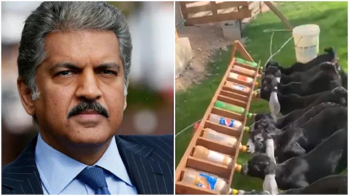 Anand Mahindra Shares Adorable Video of Baby Goats Drinking Milk ...
