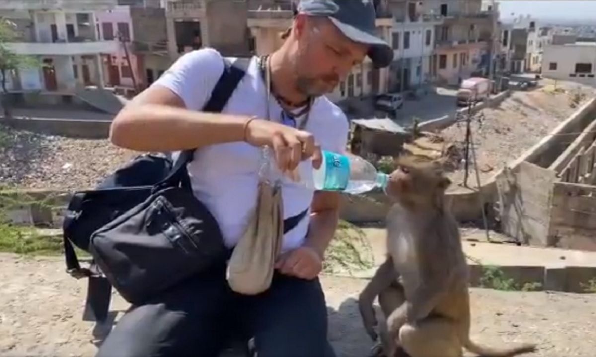 Viral Video: Man Helps Monkeys Drink Water From His Bottle | Watch