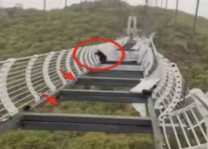 China Glass Bridge Viral: लड़का पार कर रहा था ग्लास ब्रिज, तभी शुरू हुई ...
