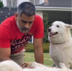 MS Dhonis Post IPL 2021 Look is Going Viral | MS Dhoni New Look ...