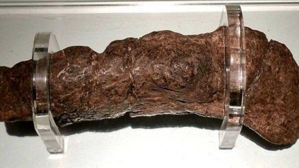 UK Museum Displays World