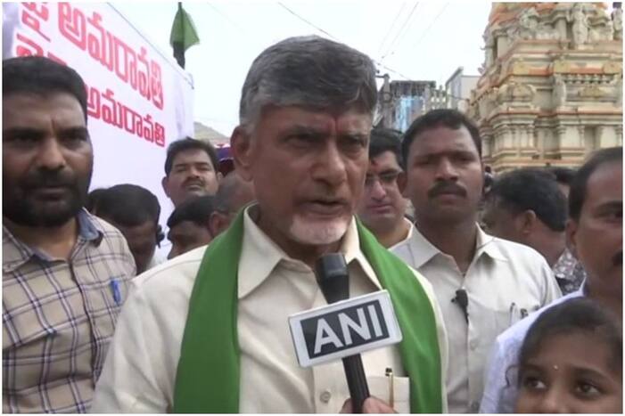 TDP Offices Attacked: Chandrababu Naidu Calls For Andhra Pradesh Bandh Today, Blames YSRCP