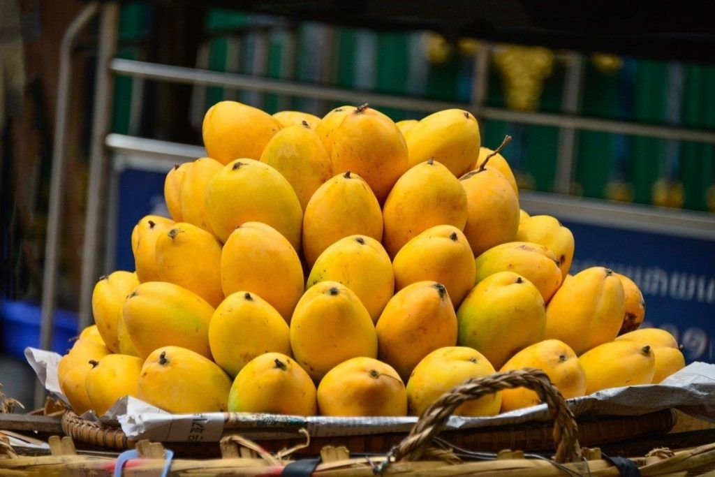 Mankurado vs Alphonso| Which Mango Tastes Better, Have Your Say