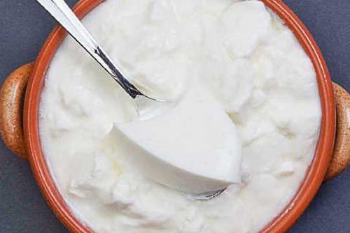 Khali Pet Dahi Khane Ke Fayde: रोजाना सुबह खाली पेट जरूर खाएं एक कटोरी ...