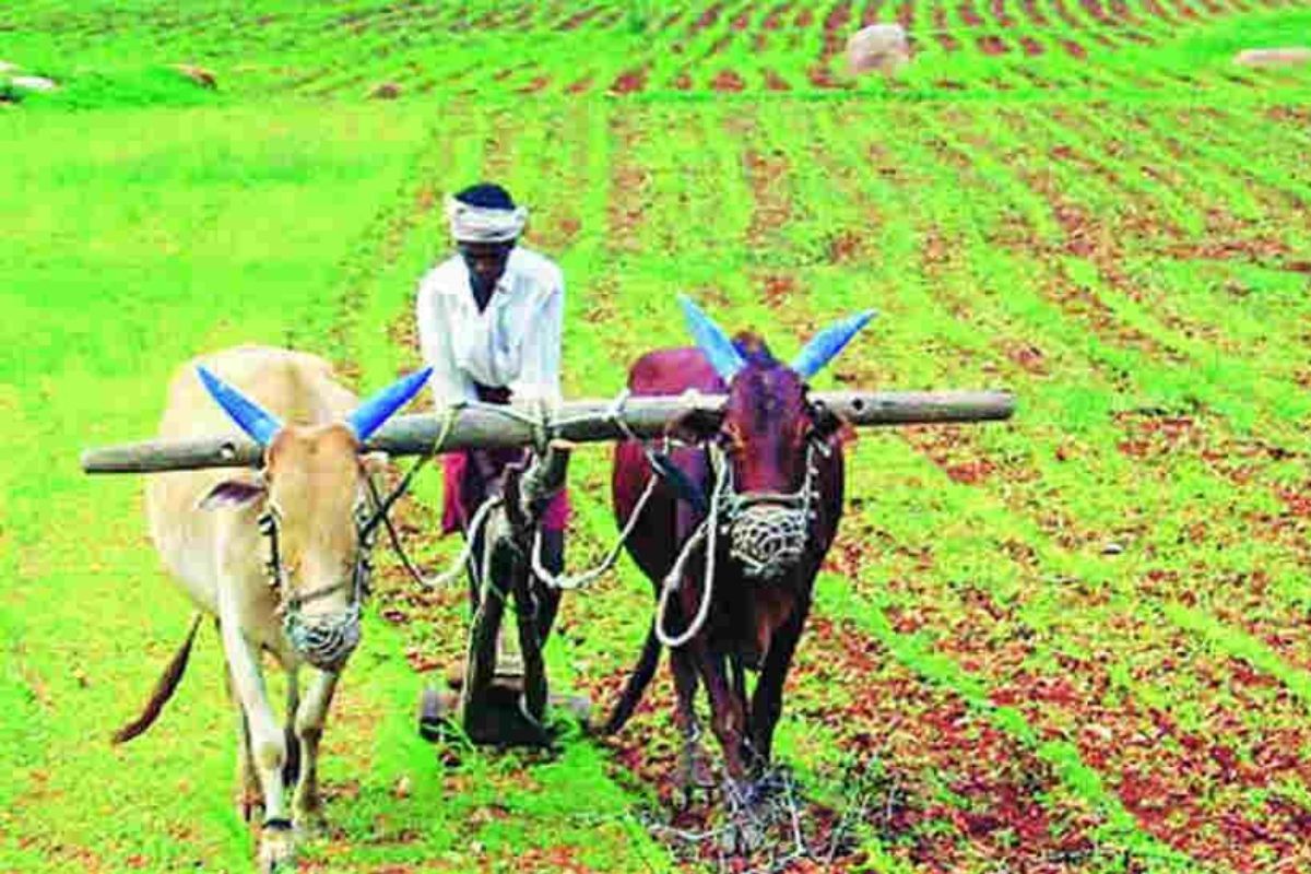 Kisan Sarathi Launch: सरकारकडून डिजिटल प्लॅटफॉर्म 'किसान सारथी' लॉन्च; सोप्या भाषेत मिळणार ...