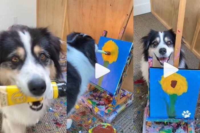 Viral Video: This Adorable Dog Painting a Flower on Canvas Will ...