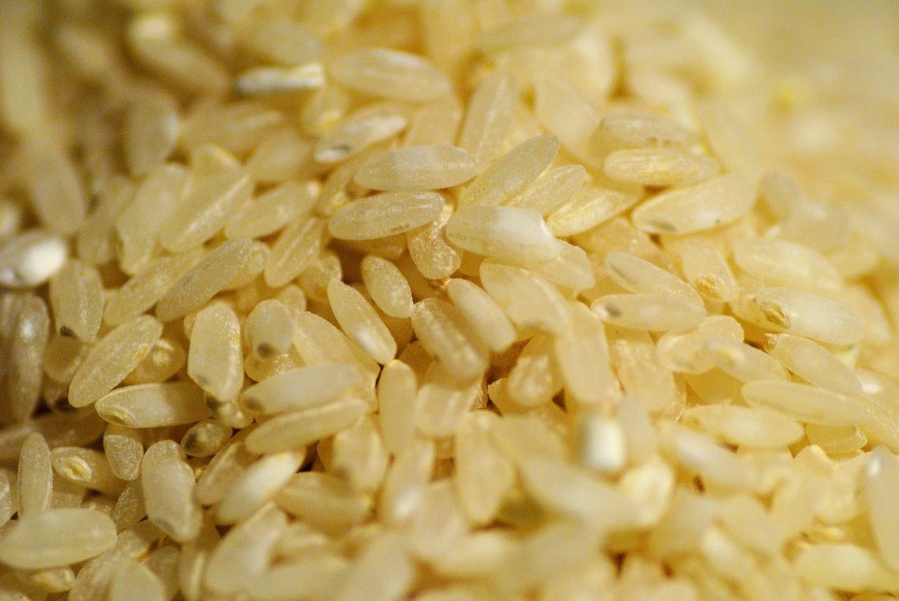 White Rice, Brown Rice, Red Rice And Black Rice: Which is Healthier ...