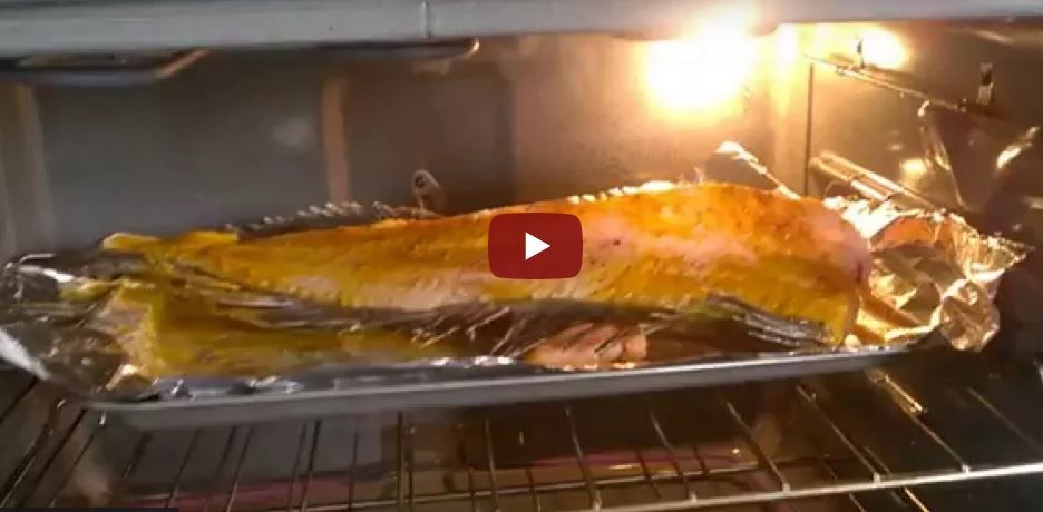 Spooky Video of Fish Fillet Jumping Up and Down Inside Oven Goes Viral