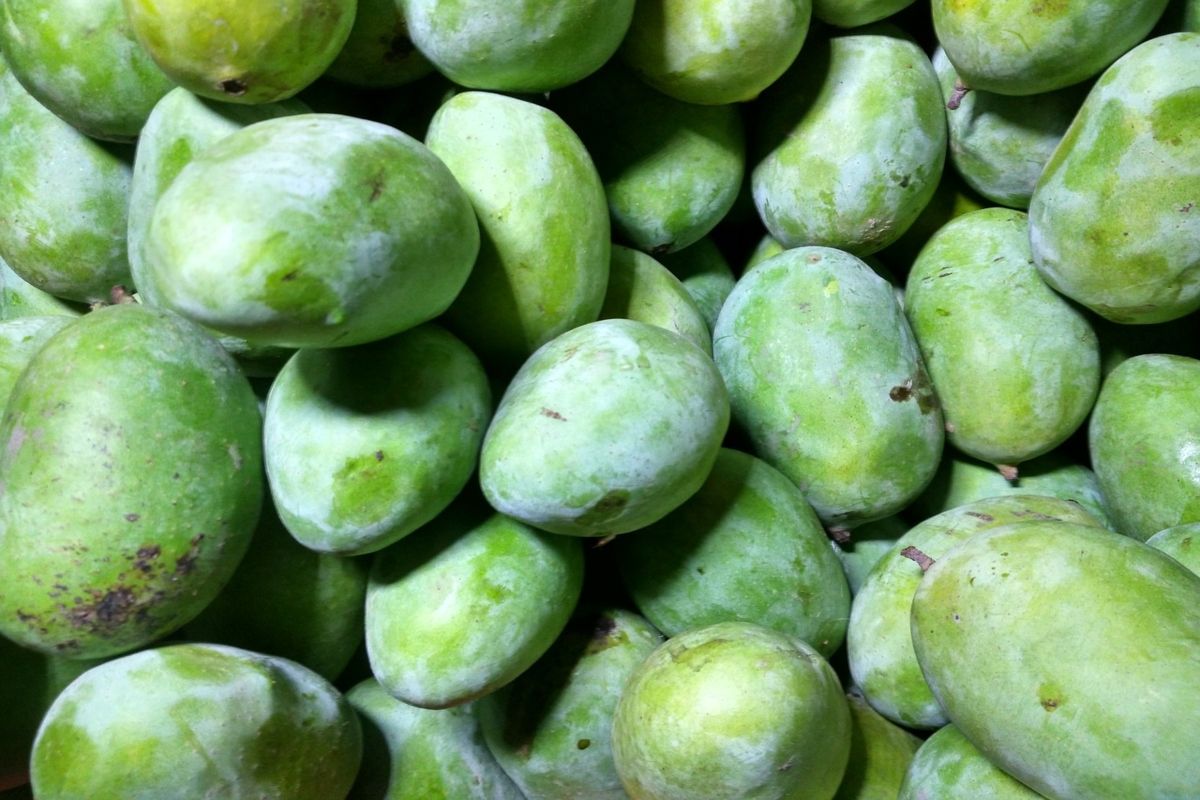 Mango Season: Chef Kunal Kapur Shares Tips to Follow While Purchasing ...