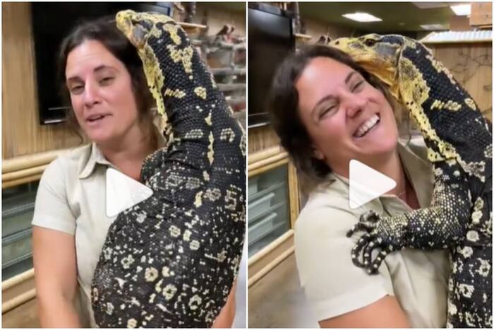 Viral Video: Woman Hugs & Plays With Giant Monitor Lizard, People Are ...