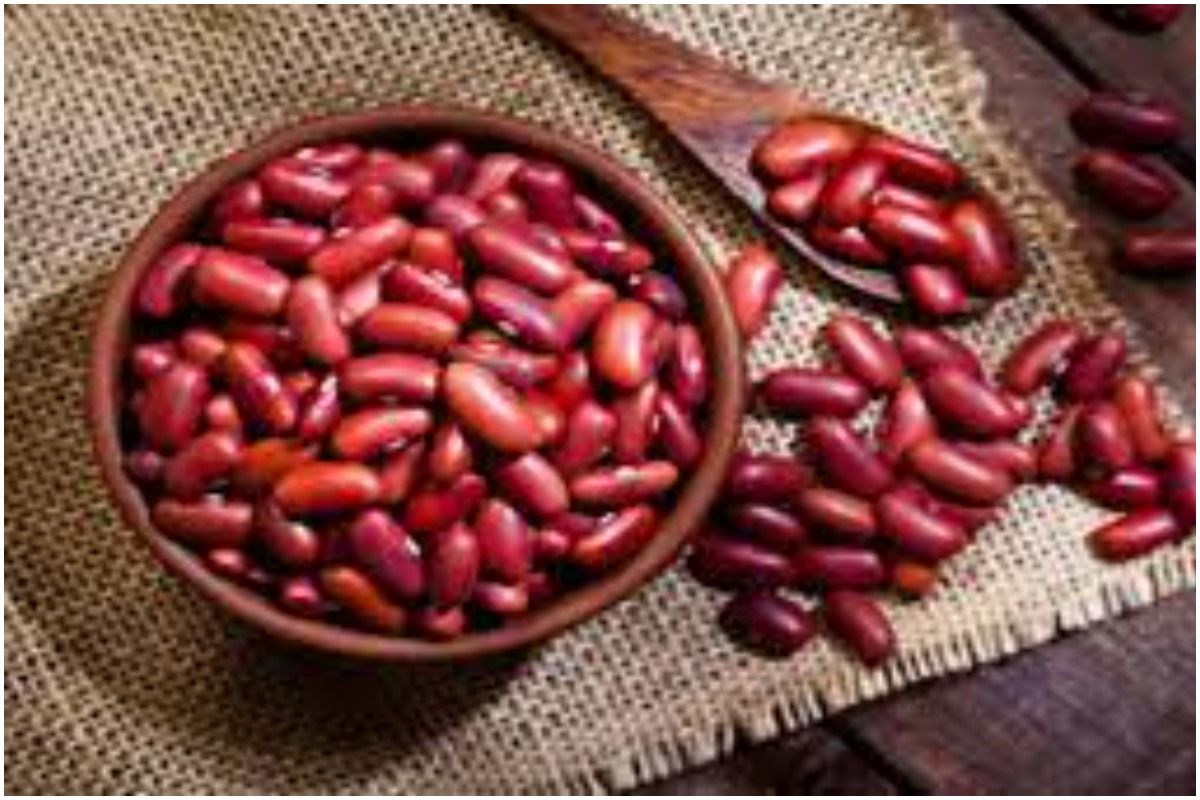 Health Benefits Of Rajma: मधुमेहाच्या रुग्णांसाठी राजमा खूपच फायदेशीर ...