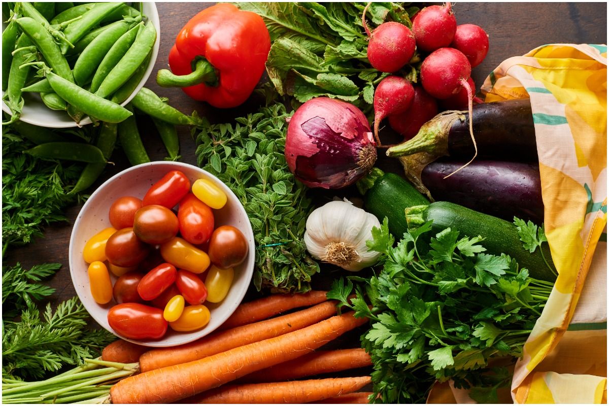 How Are You Planning to Protect Your Food from Monsoon Season?