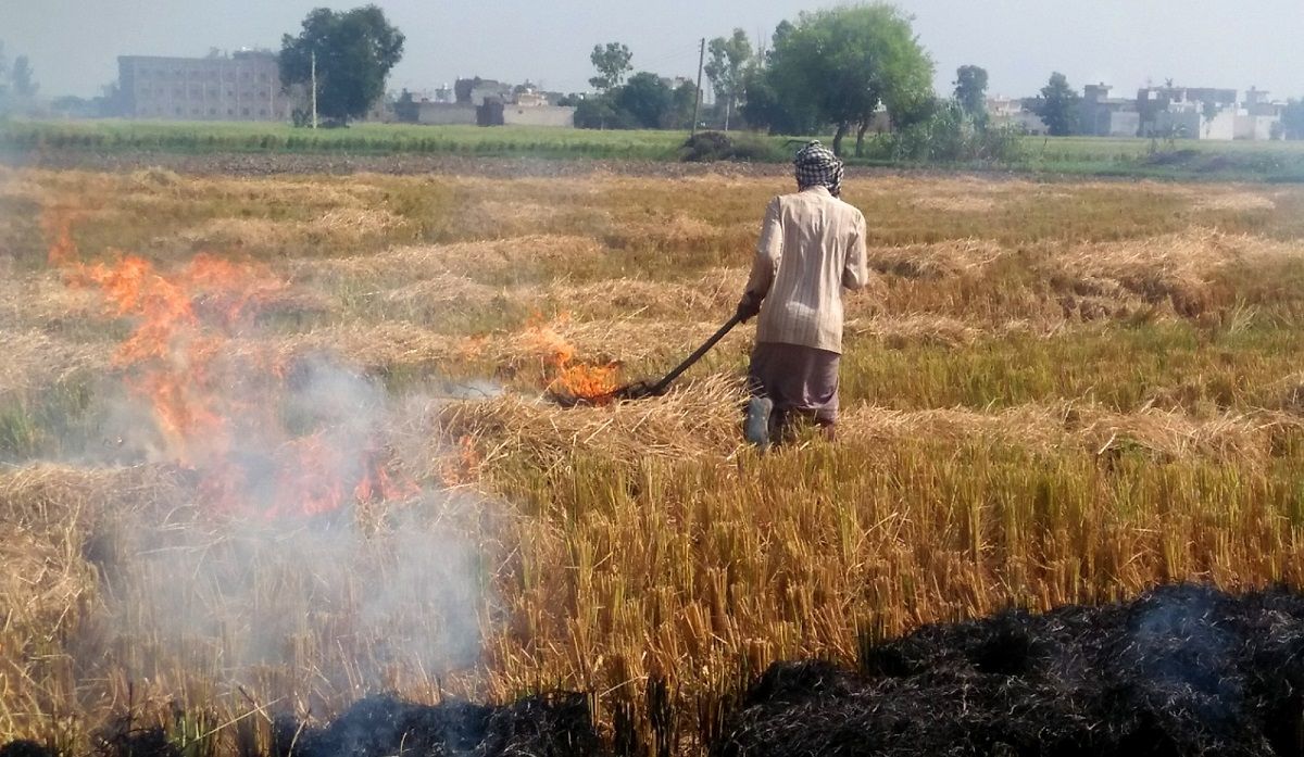Punjab Govt Appoints 8,500 Nodal Officer At Hotspot Villages to Curb ...