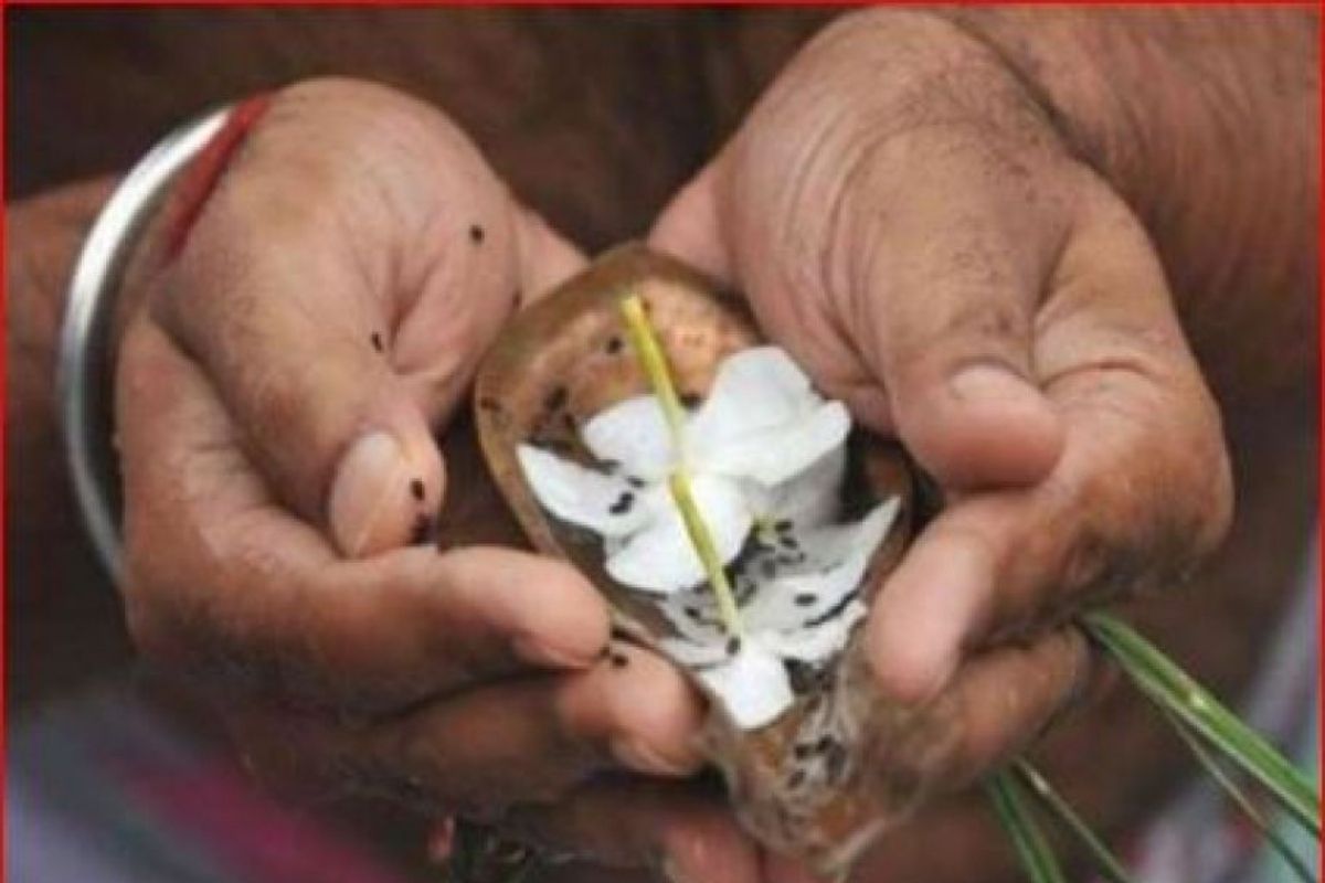 Pitru Paksha 2022: पितरों को खुश करने के लिए दी जाती है नारायण बलि ...