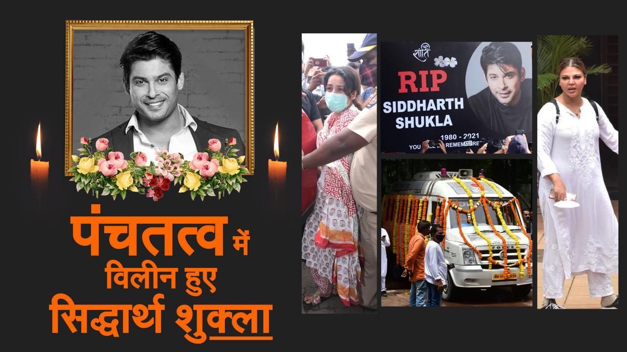 Shehnaaz Gill, Varun Dhawan, Rajkumar Rao, And Other Celebrities Paid ...