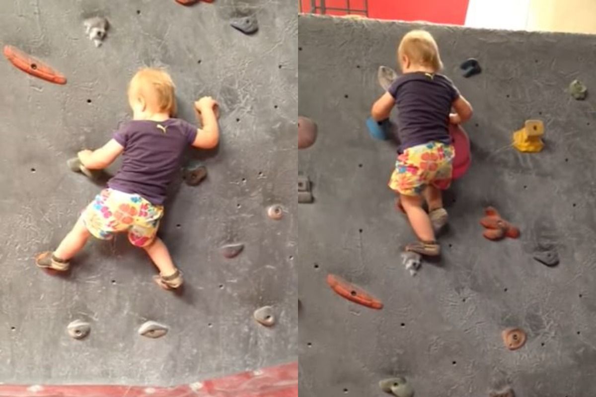 Small Steps Lead to Giant Leaps: Viral Video of Toddler's Climbing ...