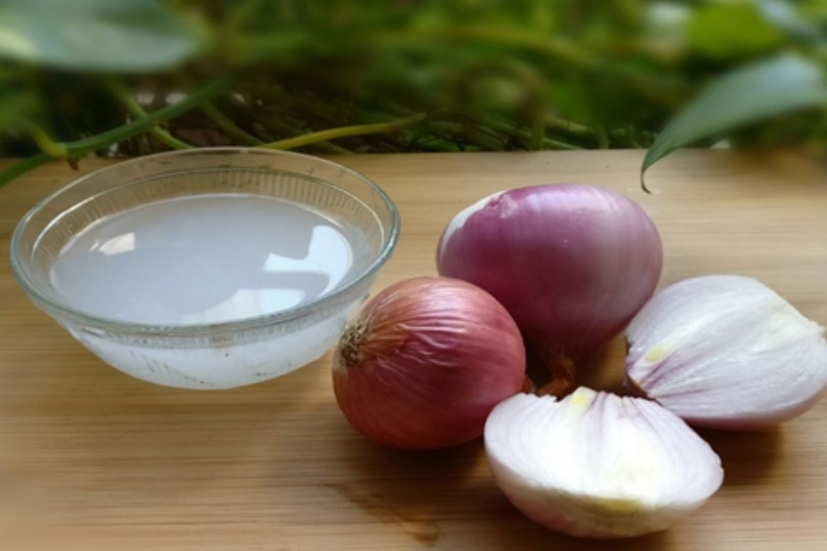 Onion Juice Benefits: कांद्याच्या रसाने दूर होऊ शकते स्टोनची समस्या ...