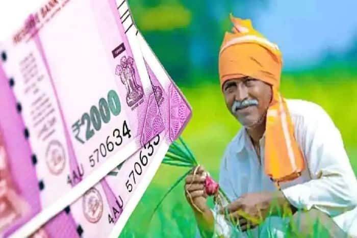 PM Kisan Samman Nidhi Yojana: Here’s How Farmers Can Check Beneficiary ...