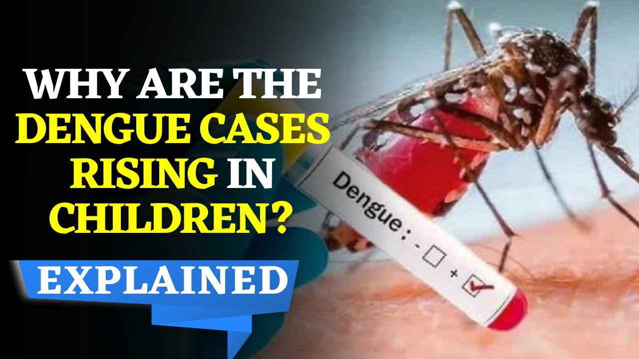 Dengue Outbreak: Dengue Cases Rise In Children At An Alarming Rate, Know Reasons And ...