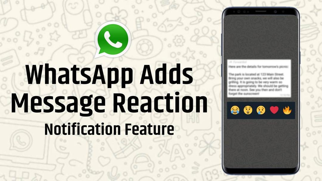 WhatsApp Update: WhatsApp Rolls Out With Message Reaction Notification ...