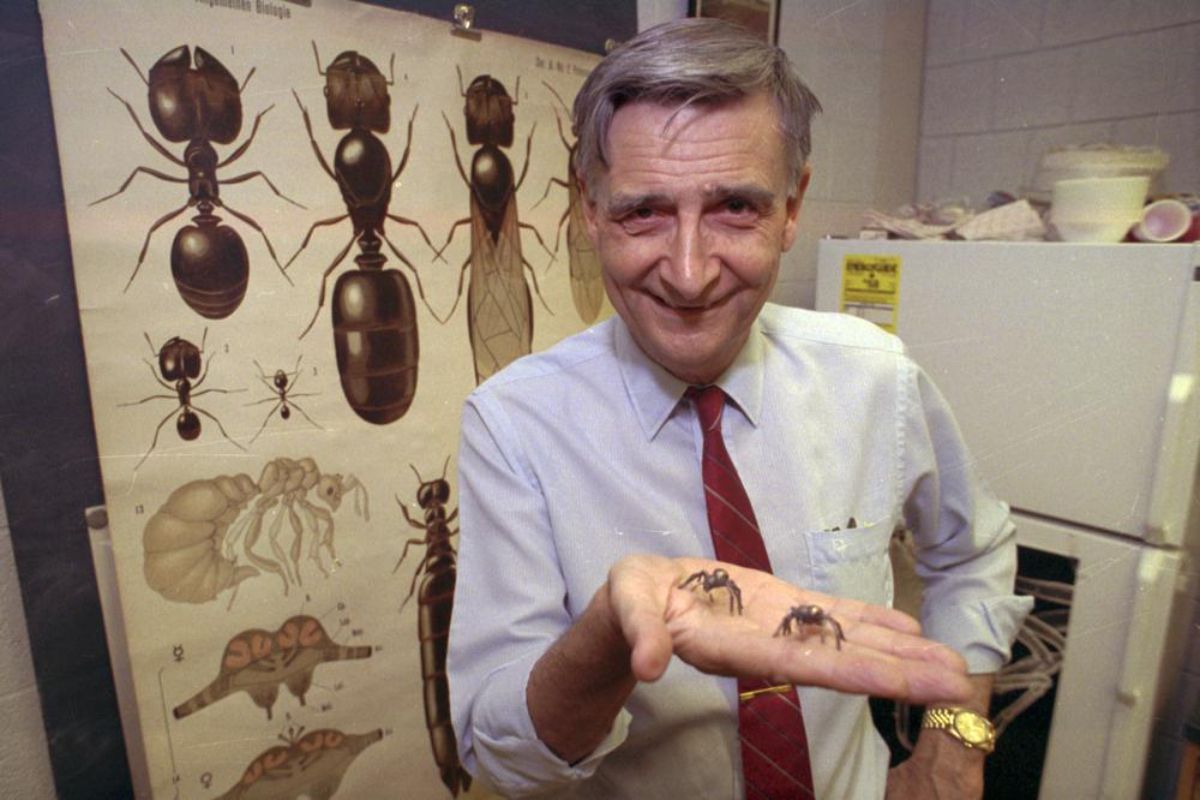 Edward O. Wilson, Known as ‘Father of Biodiversity,’ Dies at 92