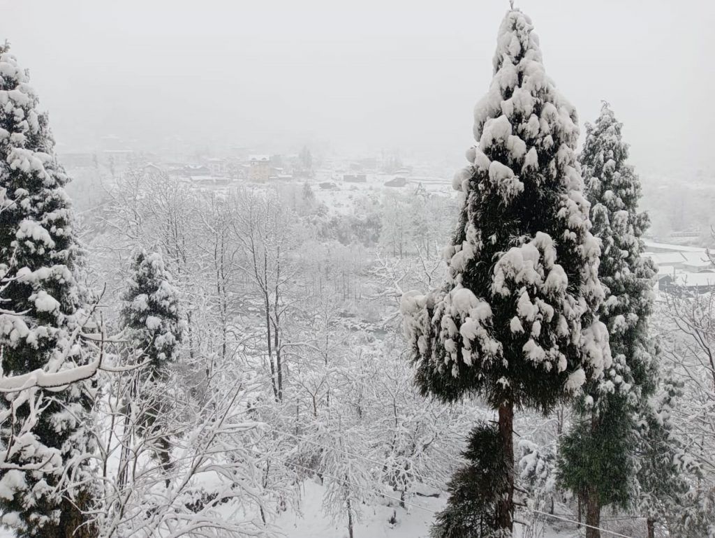 Watch Video: Heavy Snowfall in High-altitude Areas of North Sikkim ...
