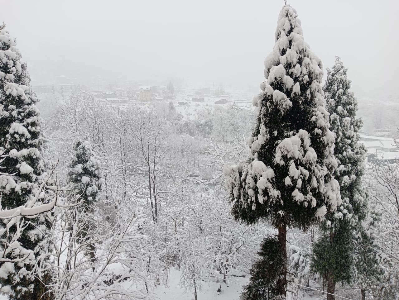 Watch Video: Heavy Snowfall in High-altitude Areas of North Sikkim ...