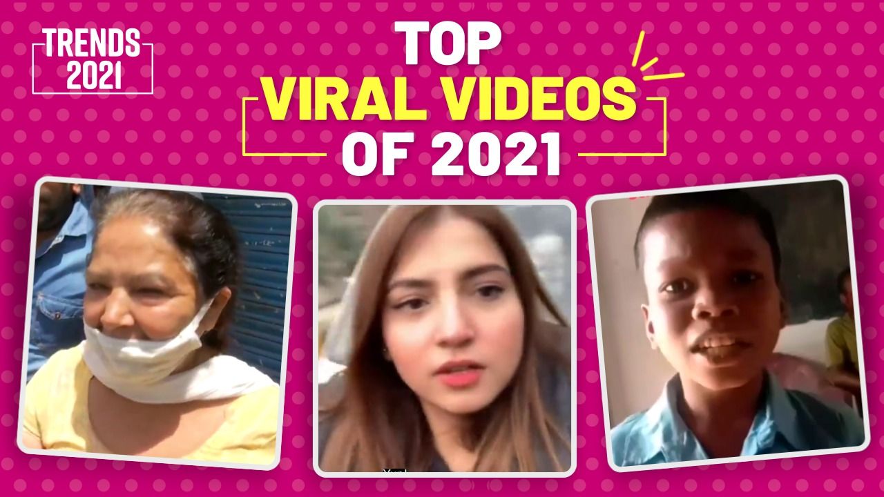Viral Videos 2021: Top Viral Videos of 2021 That Broke The Internet ...